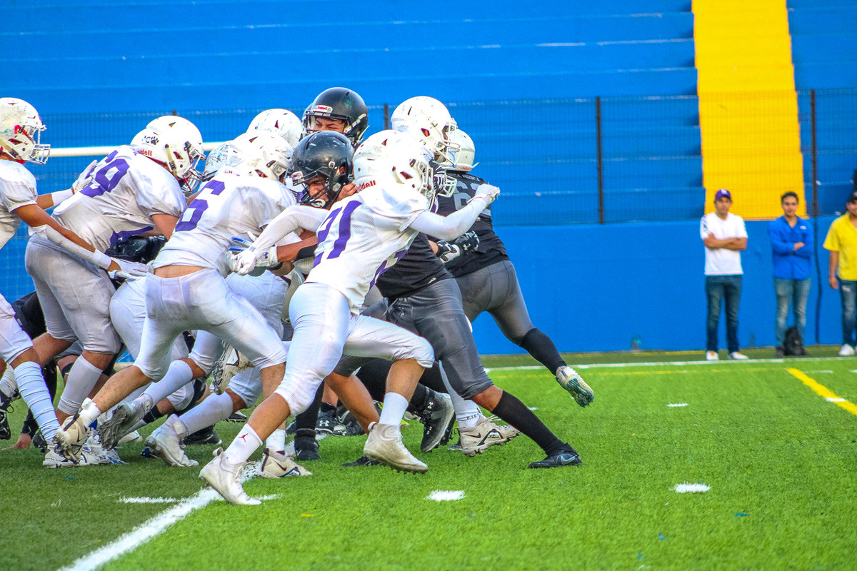 IMG 8981 — Postimages