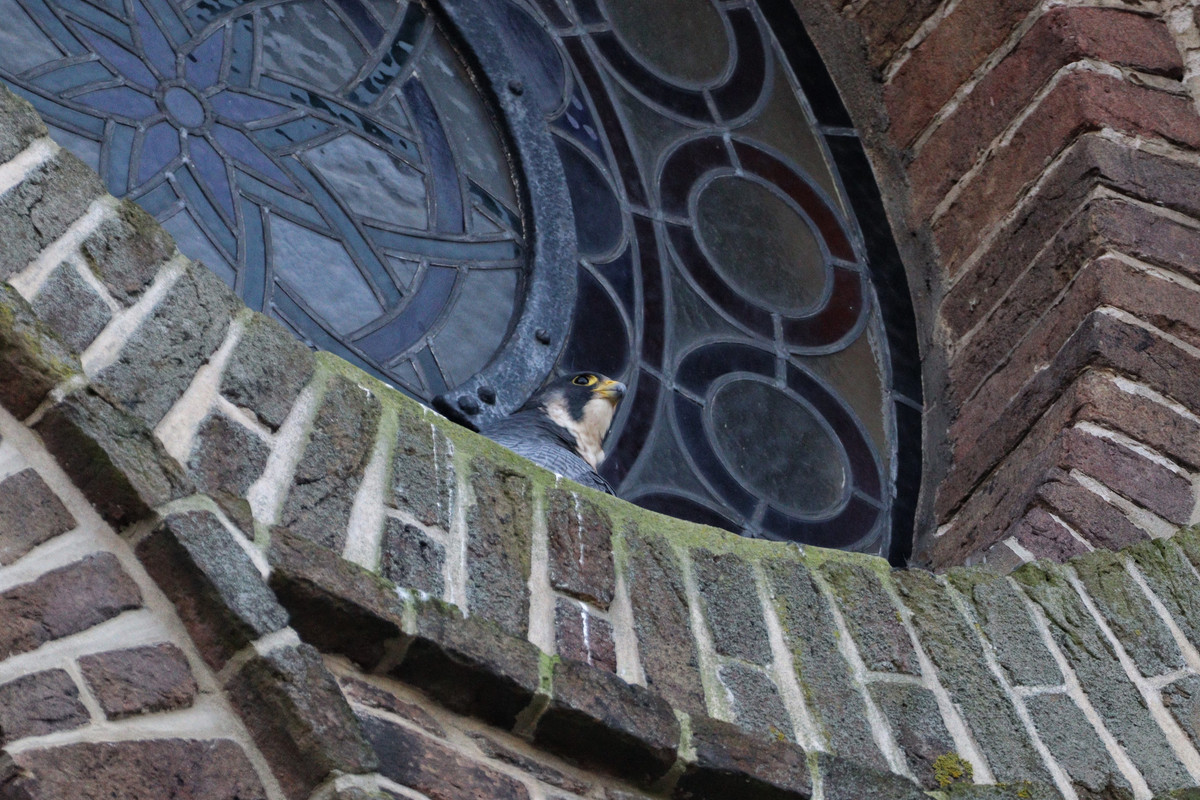 3 D64441 C E090 452 B 8843 9 D7525 A6 ABCE — Postimages