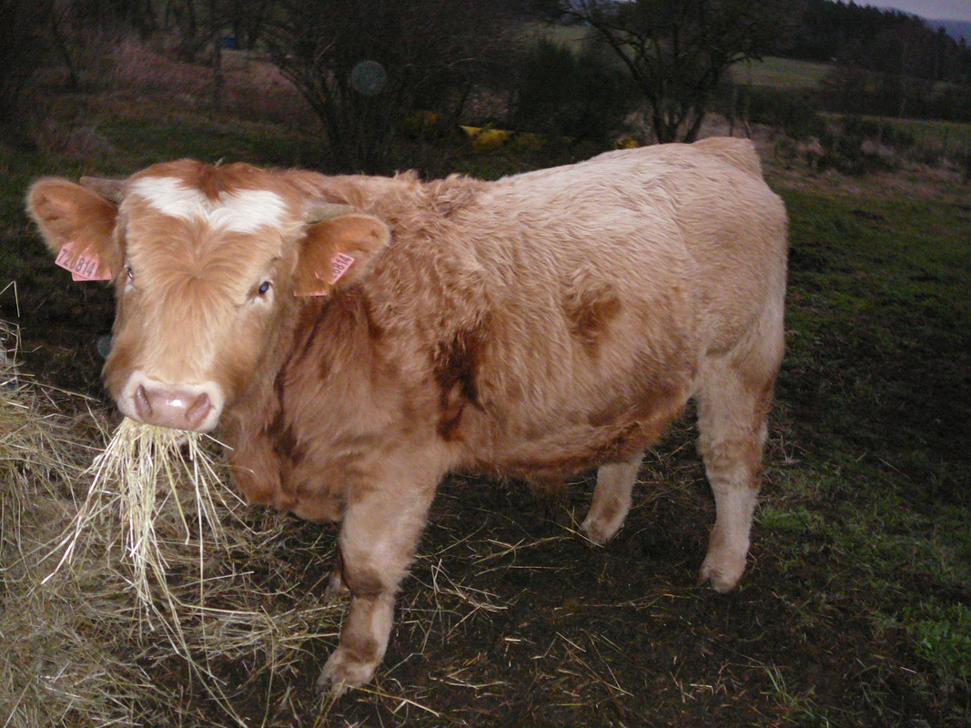 P1080437 — Postimages