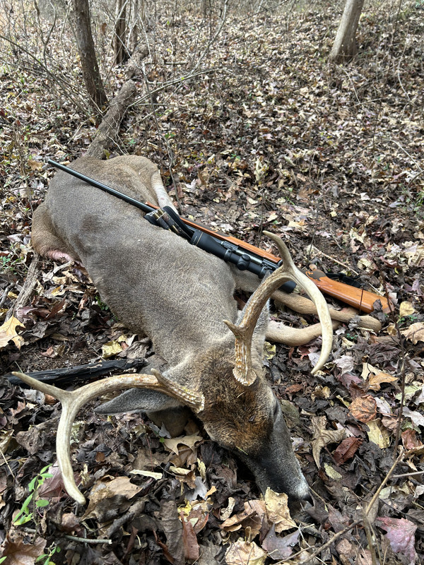 Roundoak's 3rd Anal Big Buck Photo Contest - 24hourcampfire