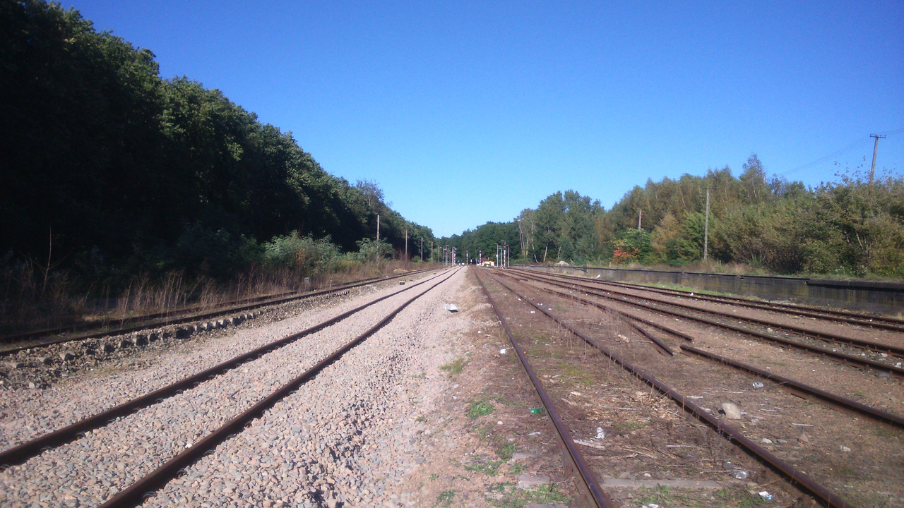 DSC 0181 — Postimages