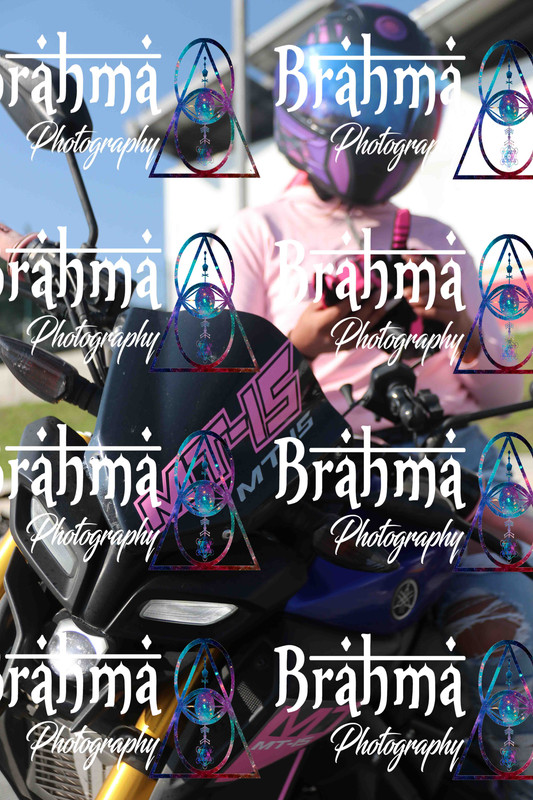 IMG 5631 — Postimages