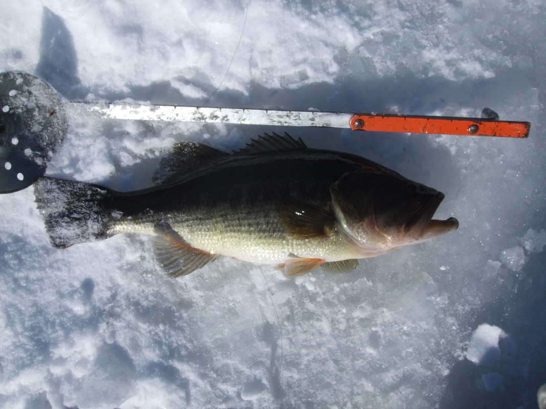 DSCF3138 — Postimages