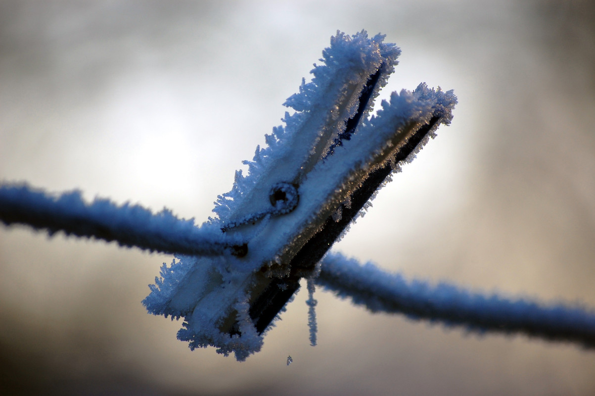 DSC 1602 — Postimages