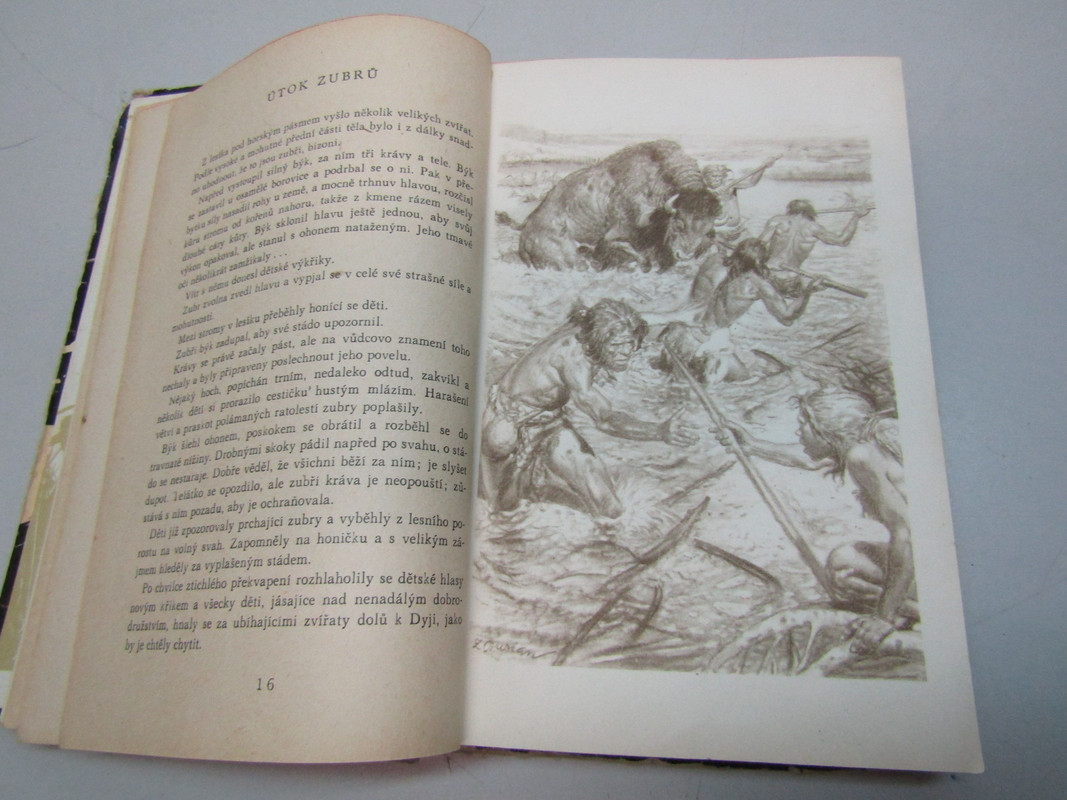 IMG 1329 — Postimages