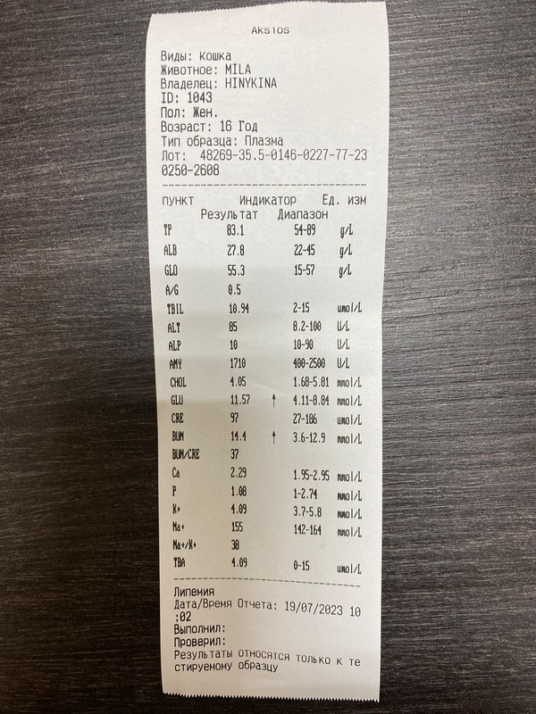 IMG 20230719 WA0001 — Postimages