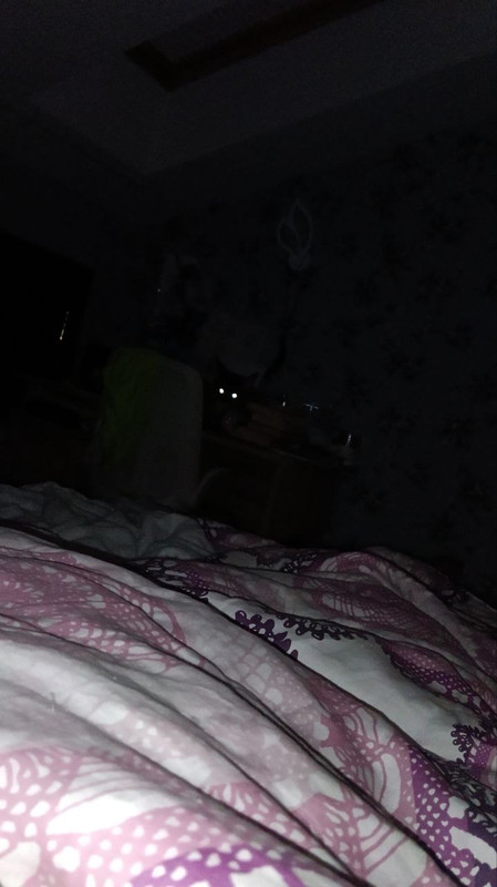 IMG 20231212 083835 700 — Postimages