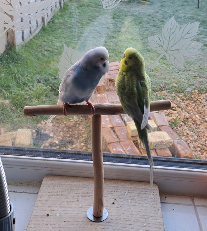 20221216 091306 — Postimages