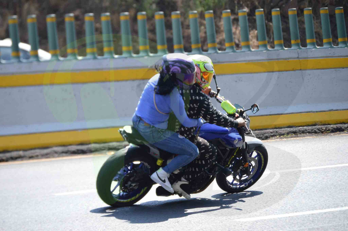 DSC 0248 — Postimages