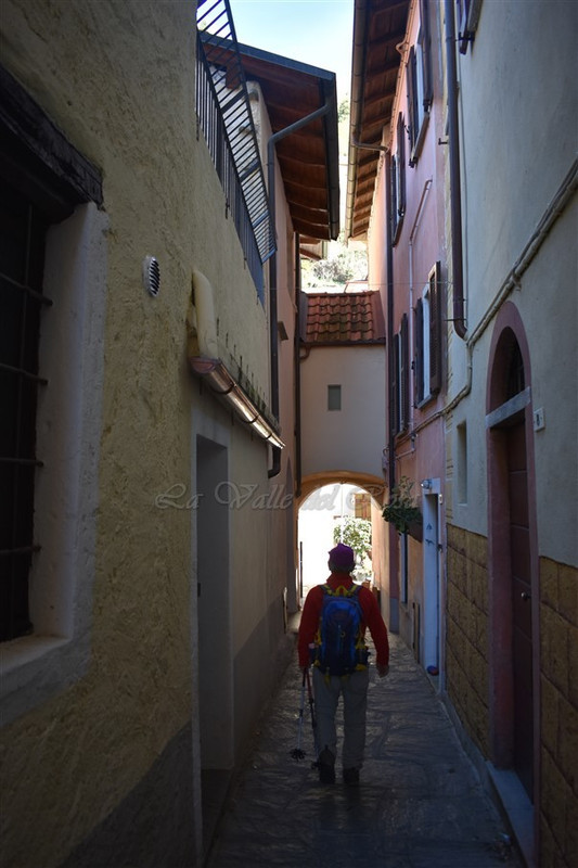 DSC 0446 — Postimages