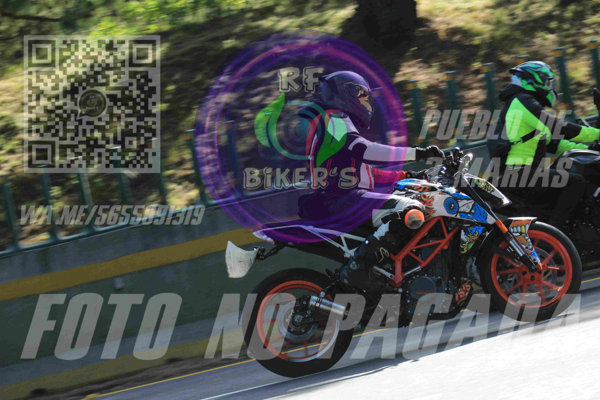 Album — Postimages