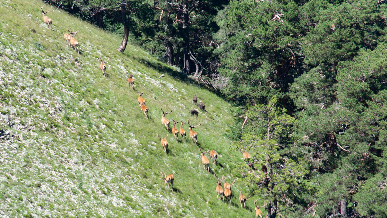 DSC 9903 3 — Postimages