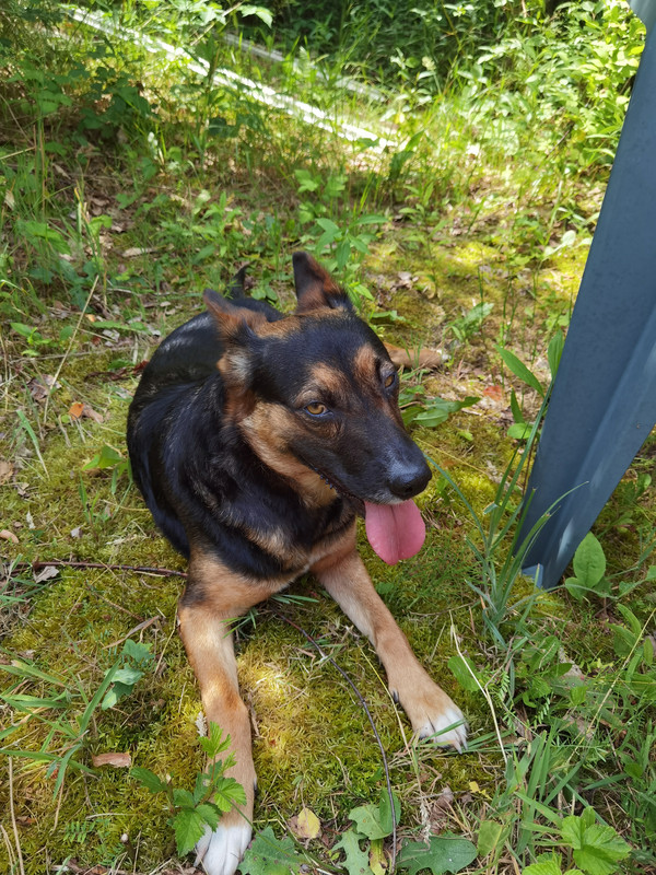 IMG 20240618 123740 — Postimages