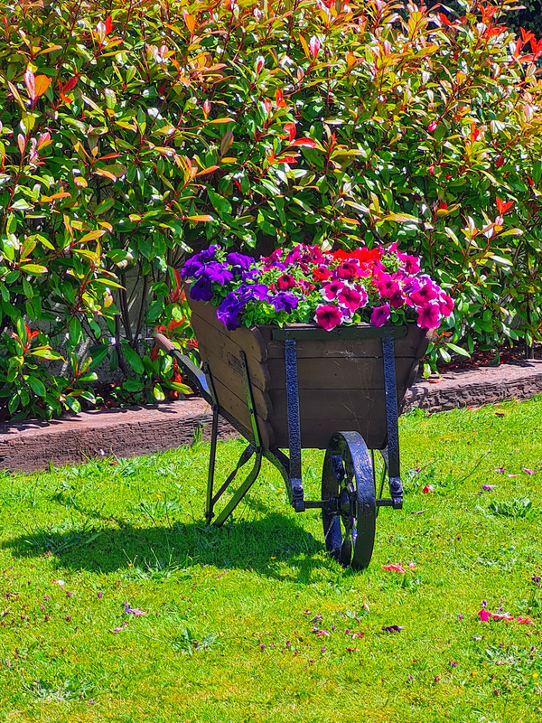 20210627 150319 EFFECTS — Postimages