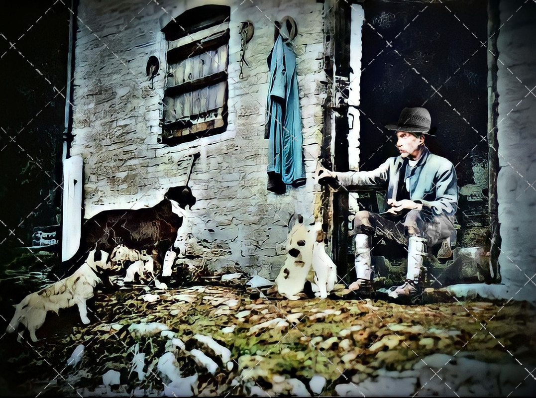 Restoration — Postimages