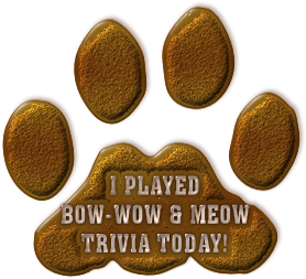 Bow Wow Meow — Postimages