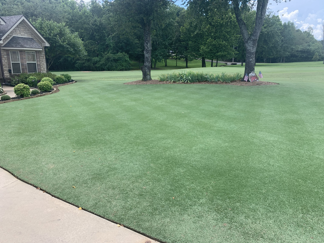 6 DF44 CEA D0 BD 4 AA2 B538 CB5 FD6 CA5 BC7 — Postimages