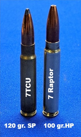 25-45 Sharps or 257 T/CU?