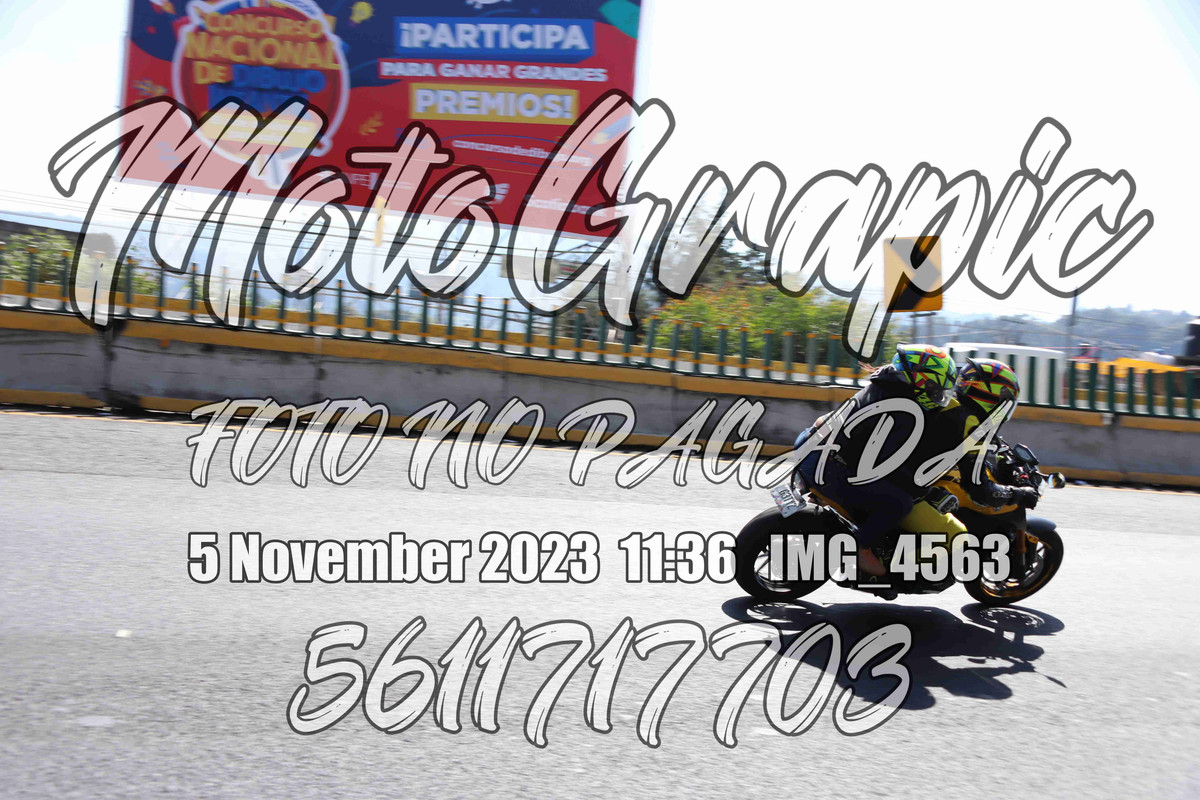 motgr IMG 4563 — Postimages