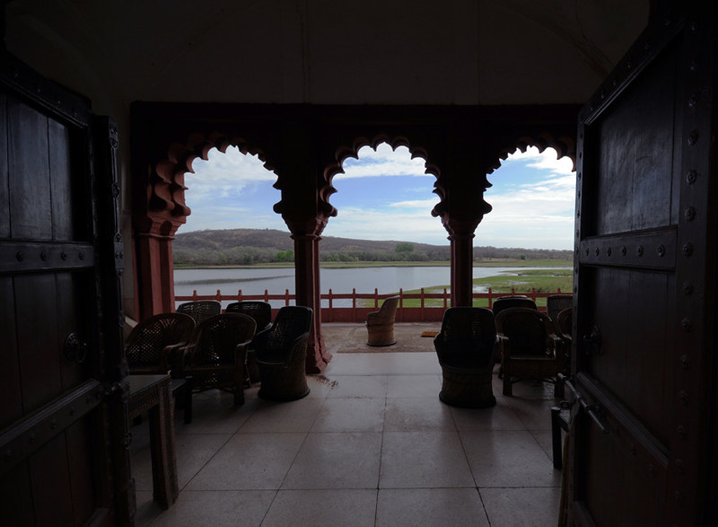 Jogi Mahal, Ranthambore: How To Reach, Best Time & Tips