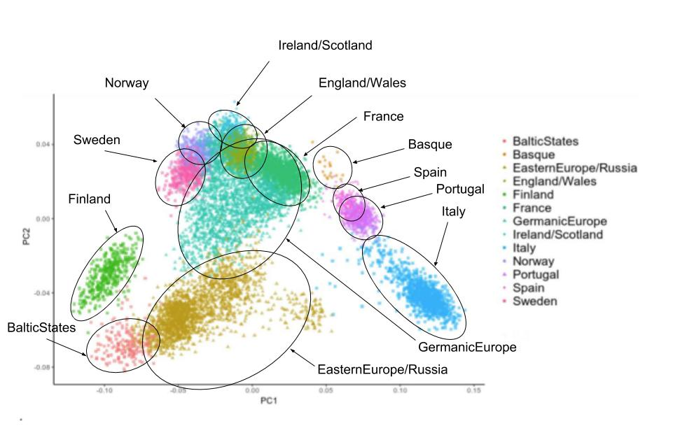 How closely related genetically are the Portuguese/Spanish on one hand ...