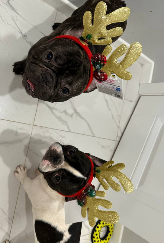 IMG 20240109 172635 318 — Postimages