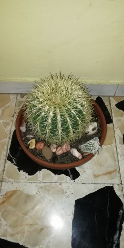 photo 2022 05 08 20 50 16 — Postimages