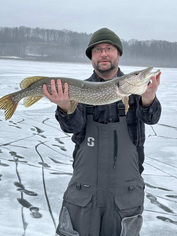 IMG 5335 — Postimages