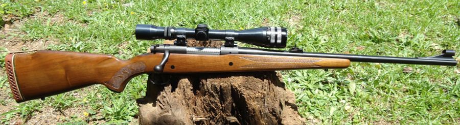 225 Winchester - 24hourcampfire