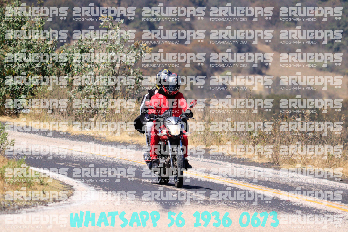 MG 1007 — Postimages