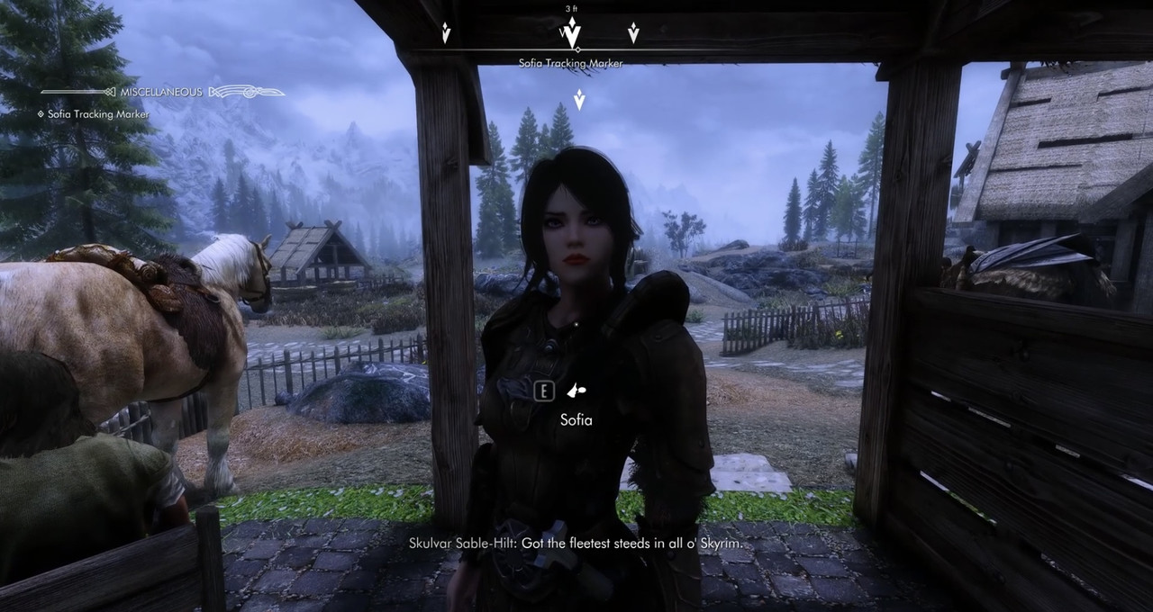 Anyone know where I can find the mods for the compass skin and typeface ...