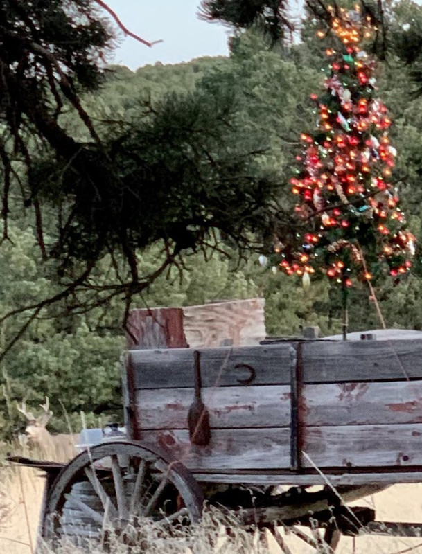 IMG 2997 — Postimages