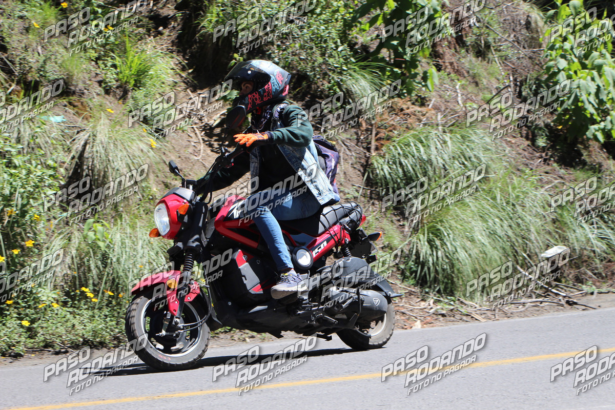 IMG 5607 wm 16698457 899999999 watermarked — Postimages