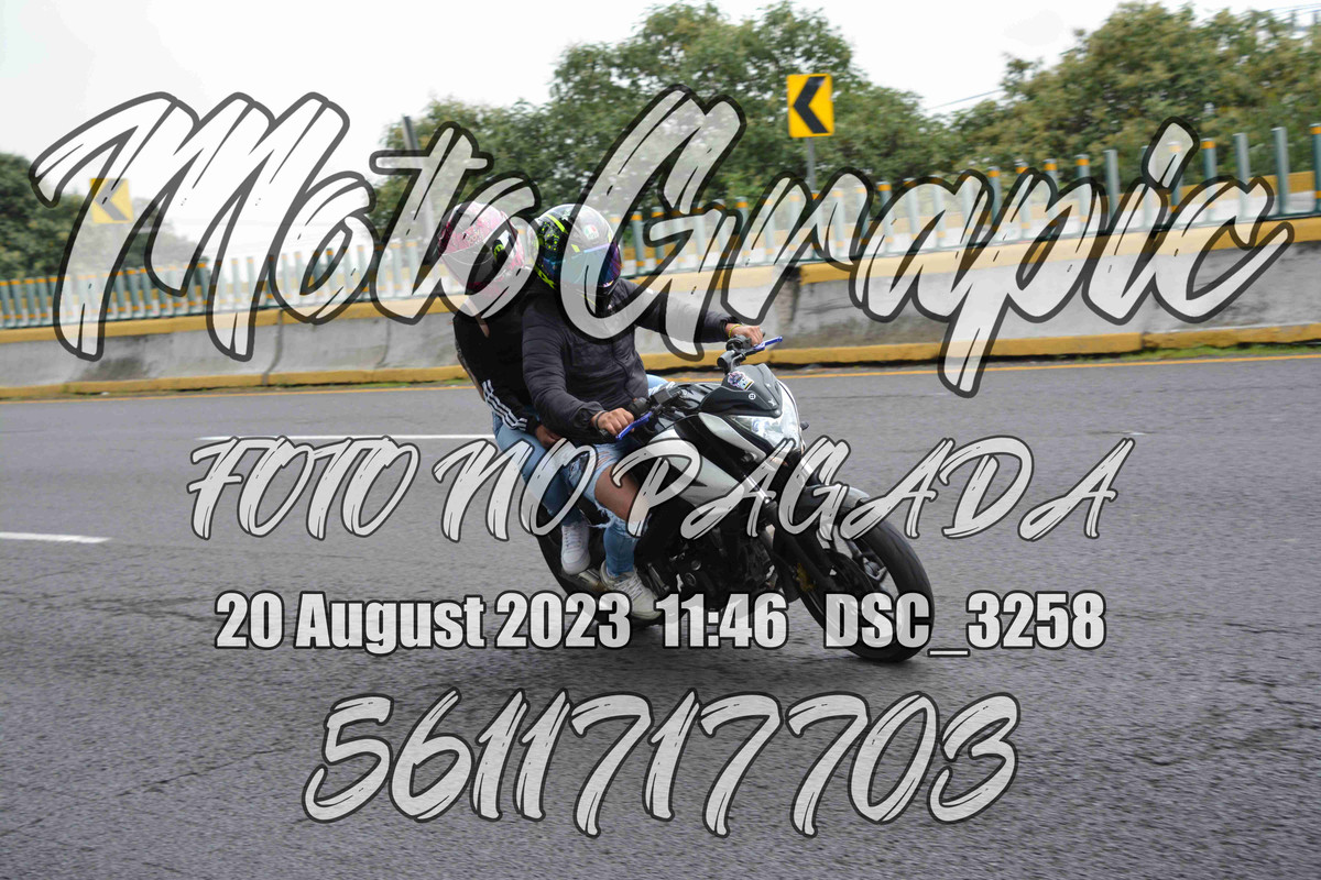 motgr DSC 3258 — Postimages