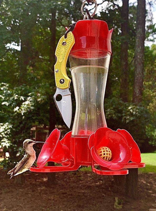 0726 DF73 C5 CD 477 D 9 CDE 5 DE6 CA2 F0 C1 C — Postimages