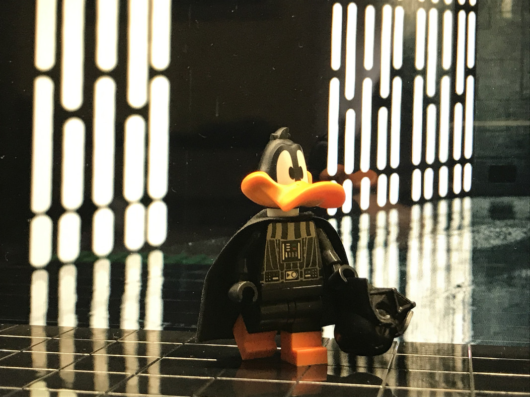 IMG 2073 — Postimages