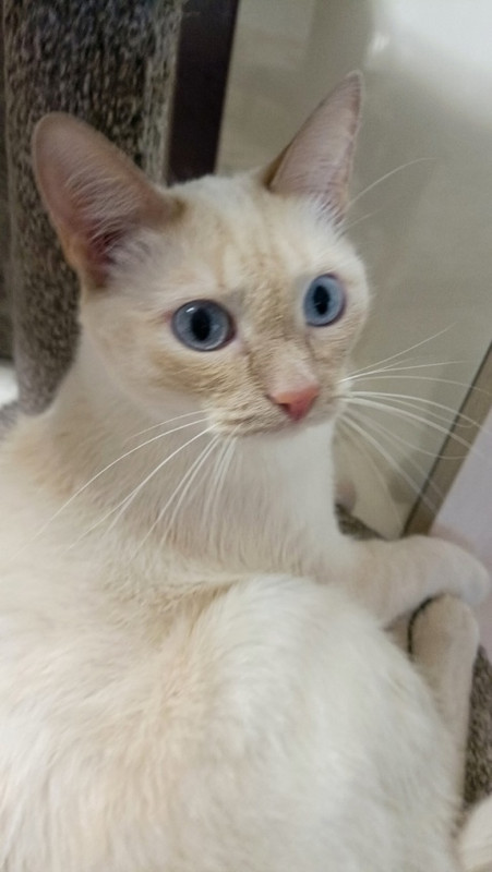 DOg5u S7 P91 Y — Postimages