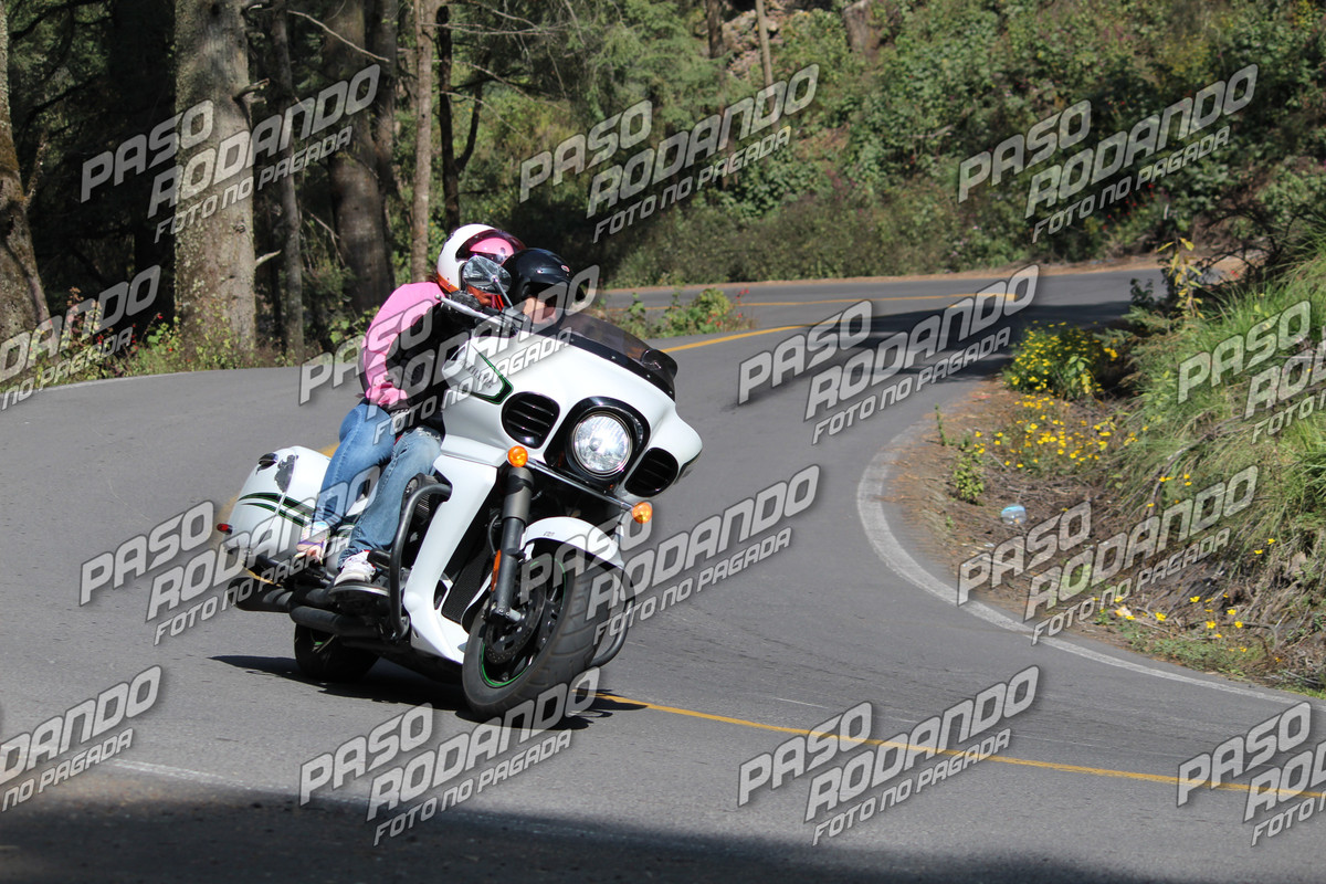 IMG 3437 wm 10082000 299999999 watermarked — Postimages