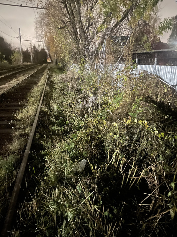 IMG 8664 — Postimages