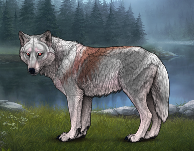 Wolf Auctioning (T3, T*, & muties) |:| Wolvden