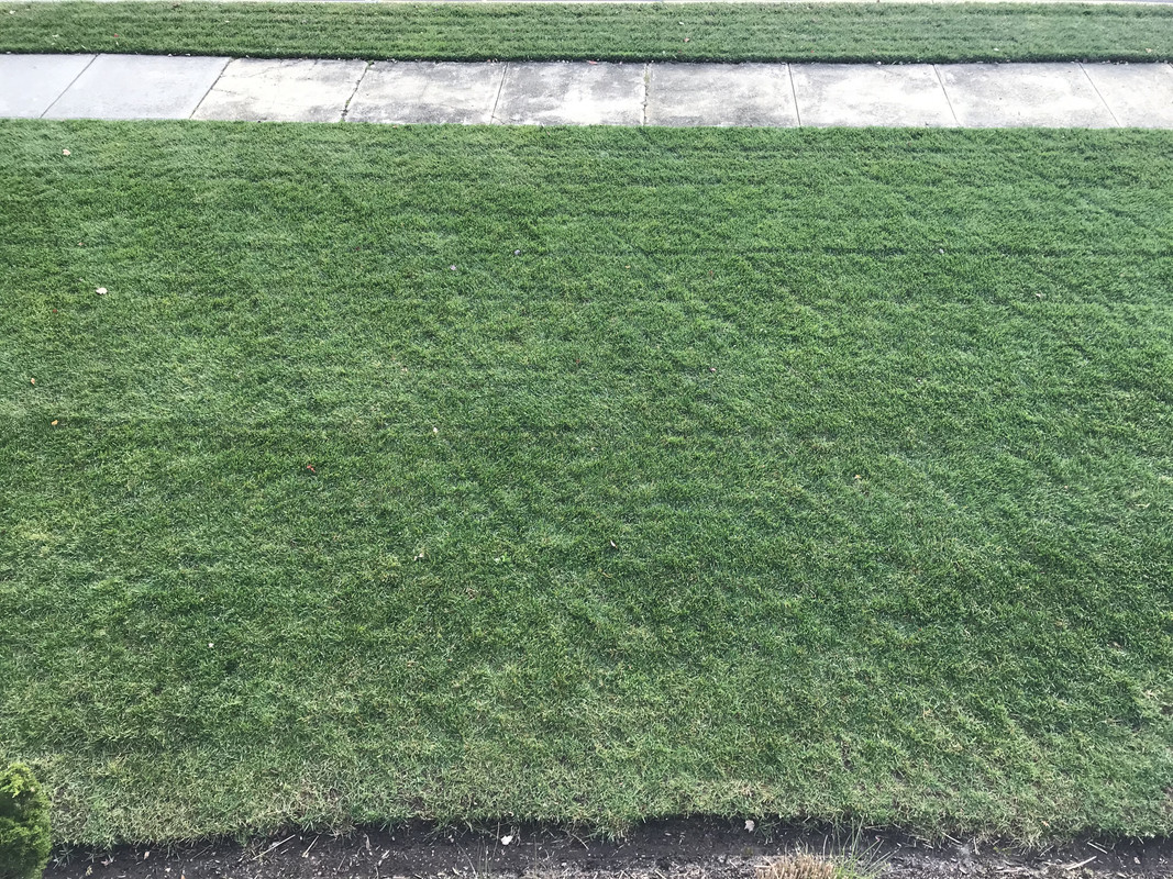 IMG 0568 — Postimages