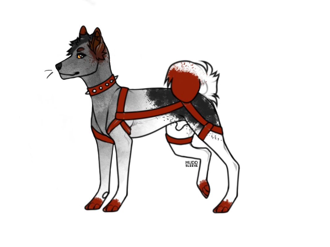 9467 B91 F 85 D1 46 F9 9509 EA1 ECCE518 C2 — Postimages