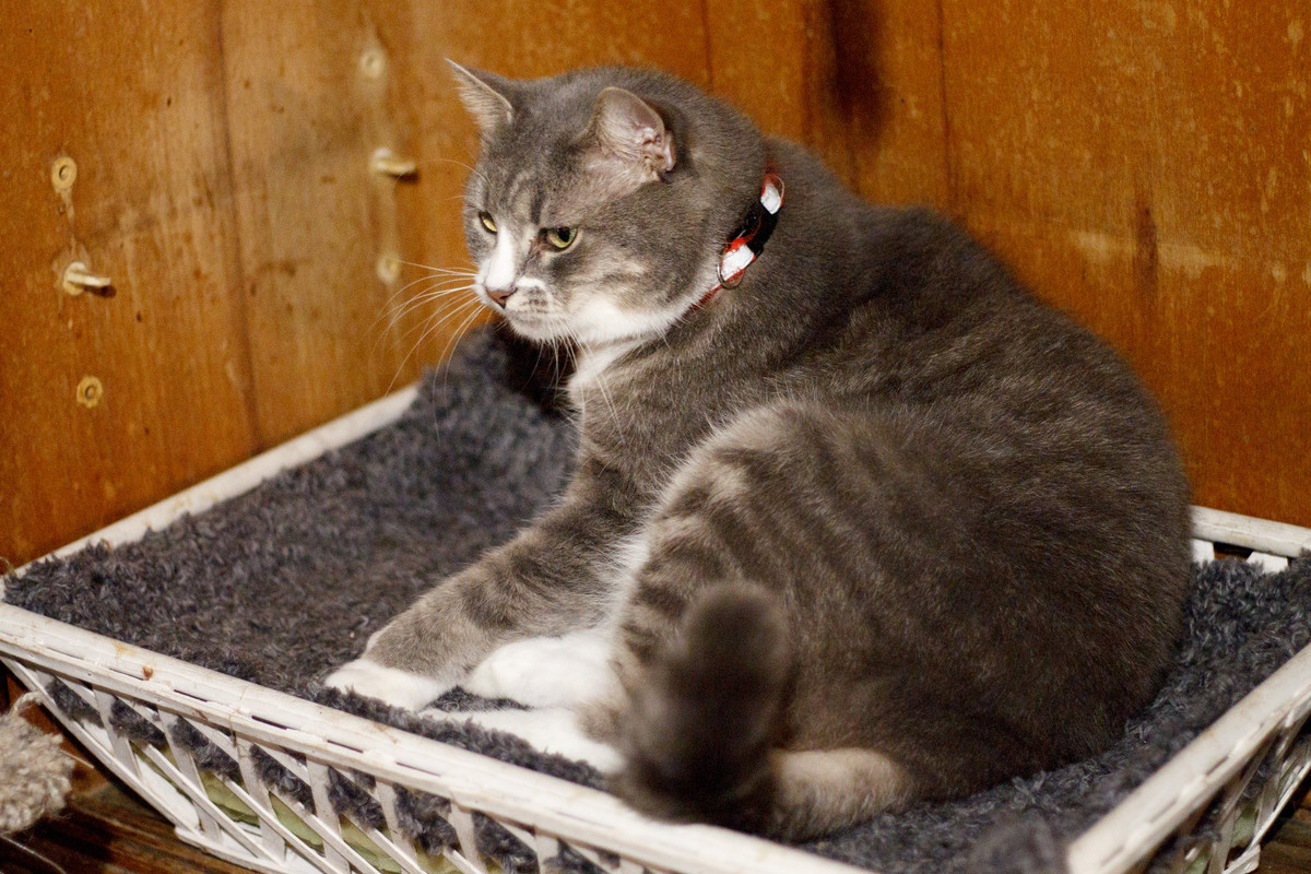 IMG 0752 — Postimages