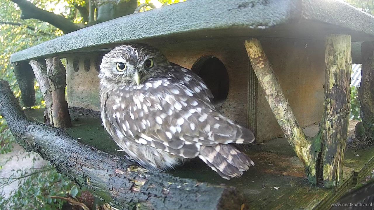 snapshot 1 233 — Postimages