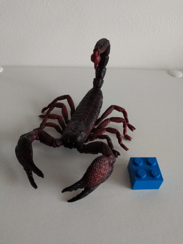 Wild and Farm animals 2020 from Mojo Fun!