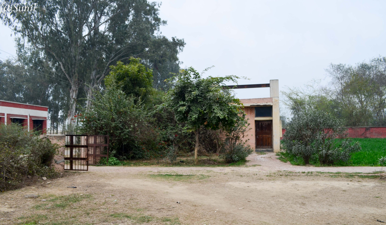 A day visiting the old places in my hometown Khemkaran……!!! | Joy Club