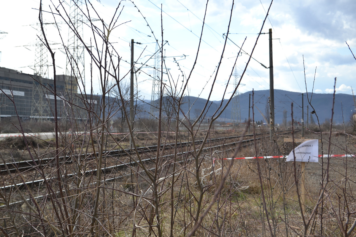 DSC 7798 — Postimages