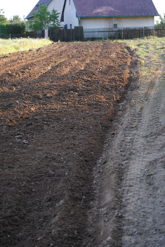 DSC 0776 — Postimages