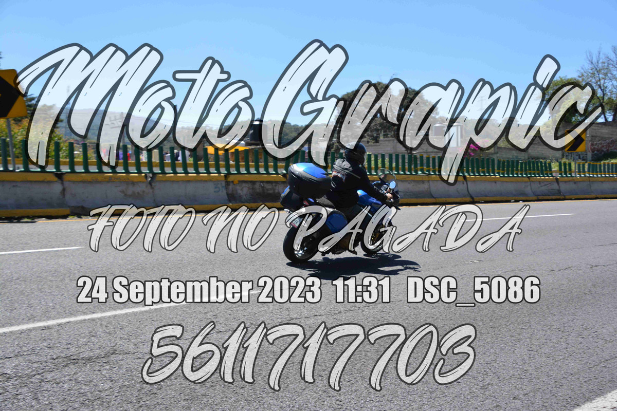 motgr DSC 5086 — Postimages