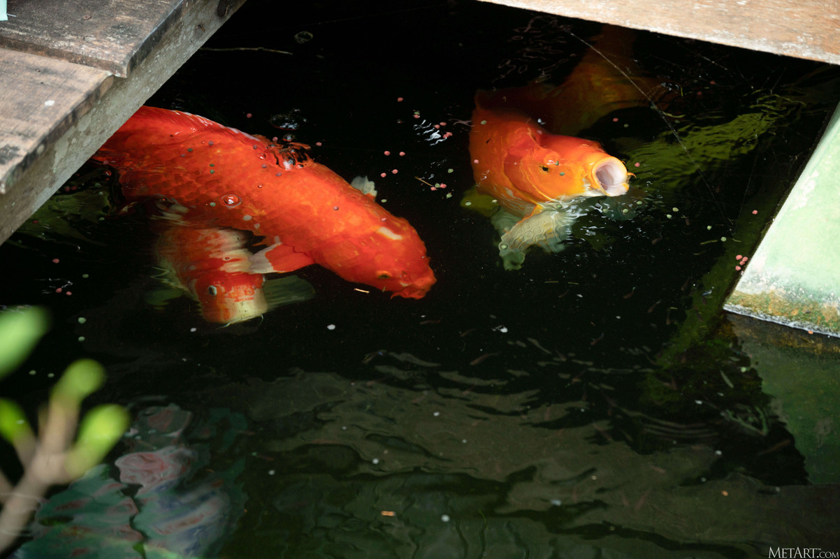 Mayuko Loving Care 0007 — Postimages